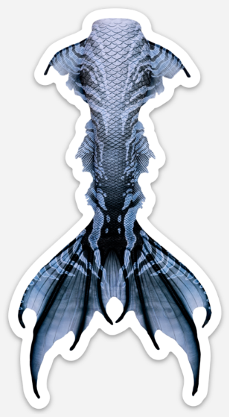 Manta Merbella by Finfolk Signature Tail Sticker – Finfolk Productions